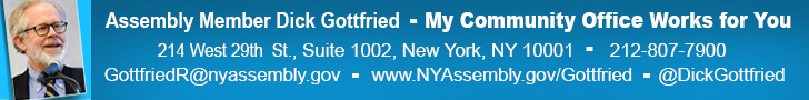 Meet Layla Law-Gisiko, Candidate to Succeed Assemblymember Gottfried ...