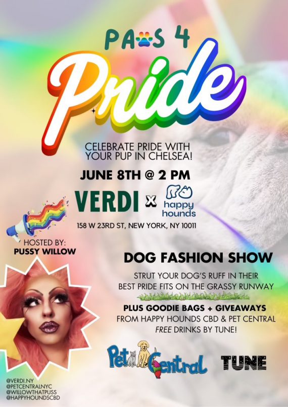 PRIDE is Busting Out All Over Chelsea: Previewing June Celebrations of ...